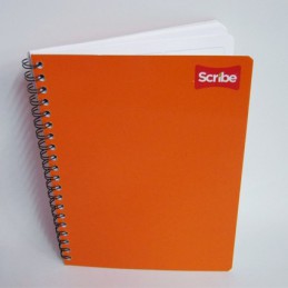 CUADERNO PROFESIONAL RAYA ESPIRAL 100H CLASICO
